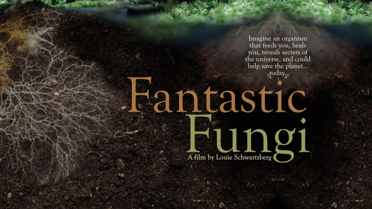 FANTASTIC FUNGI - OUTDOOR SUMMER FILM SERIES - Martha's Vineyard Film ...